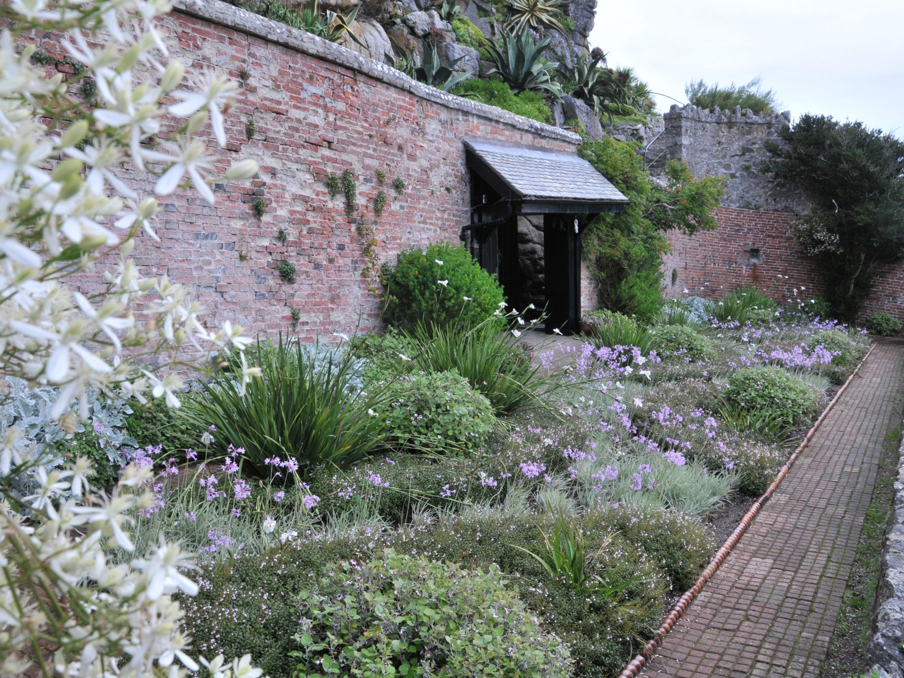 Cliffside gardens – St Michael's Mount